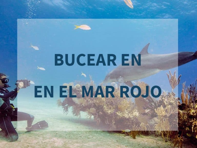Bucear en el Mar Rojo - Guía Completa - Top Buceo